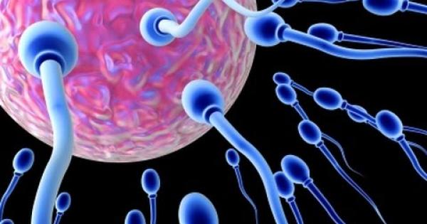15 cose da sapere sugli spermatozoi - Foto 1 di 15 - Radio 105