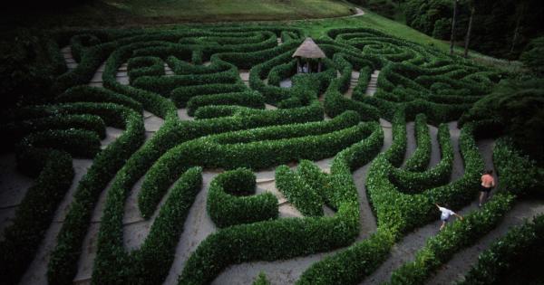 Labirinto all'ingresso del bar: è per aggirare una legge - Radio 105