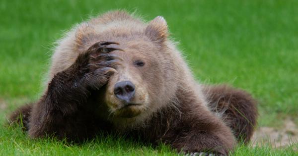 Animali dalle posizioni strane: ecco le 10 foto più divertenti di ...