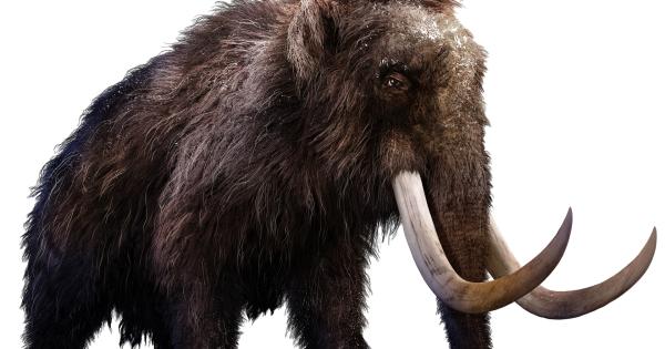 15 milioni di dollari per riportare in vita il mammut - Radio 105